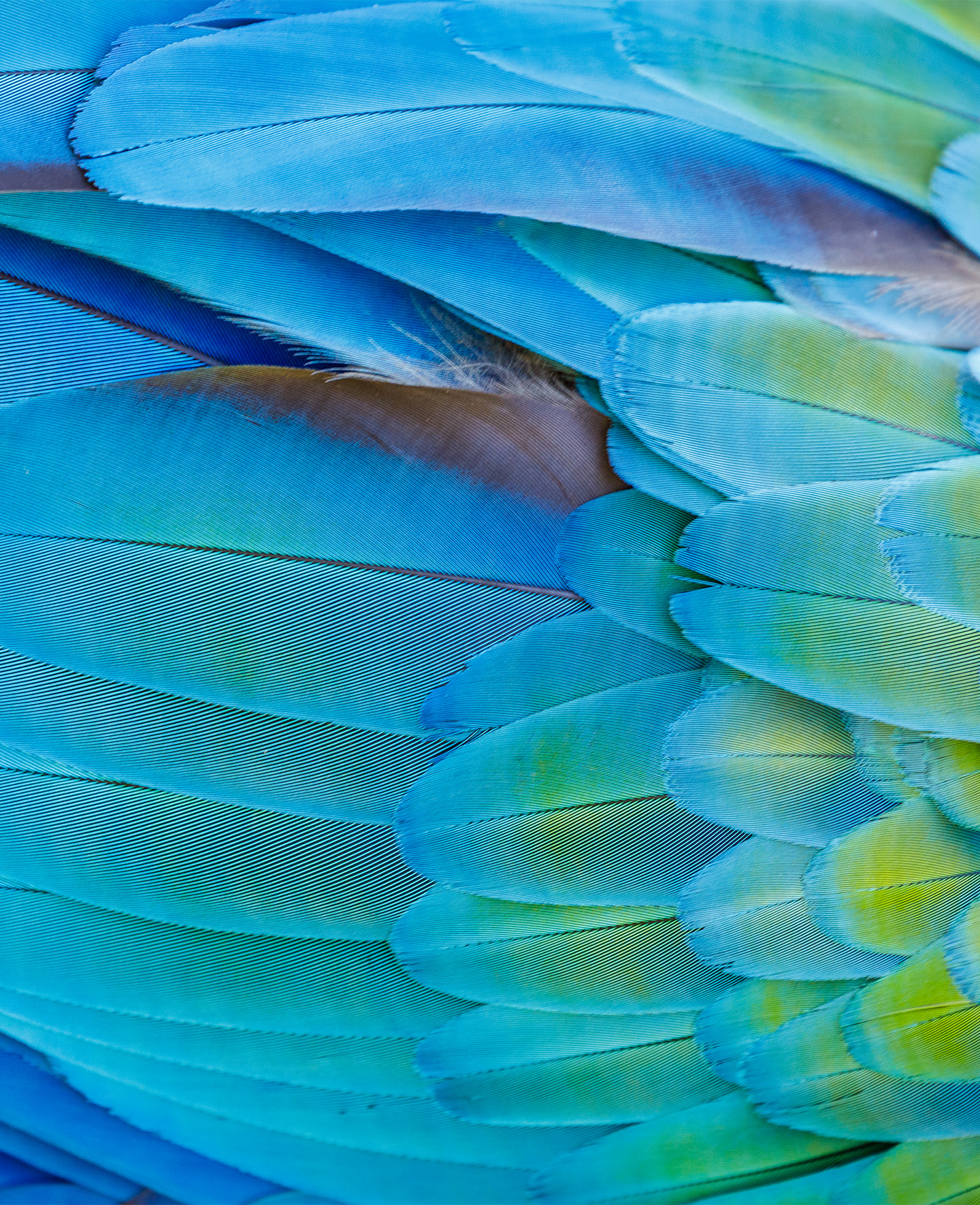 Tauil & Chequer Advogados | Tauil & Chequer Advogados