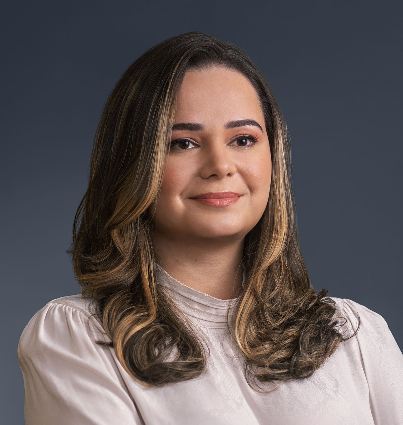 BRAZILIAN TAX REFORM: Complementary Bill of Law No. 68/2024 | Insights ...