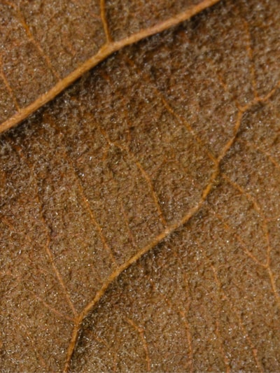 Resenha Tributária - 2ª Quinzena de Março | Insights | Tauil & Chequer ...