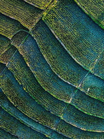 Tauil & Chequer Advogados advises Equipav on the debenture issuance ...